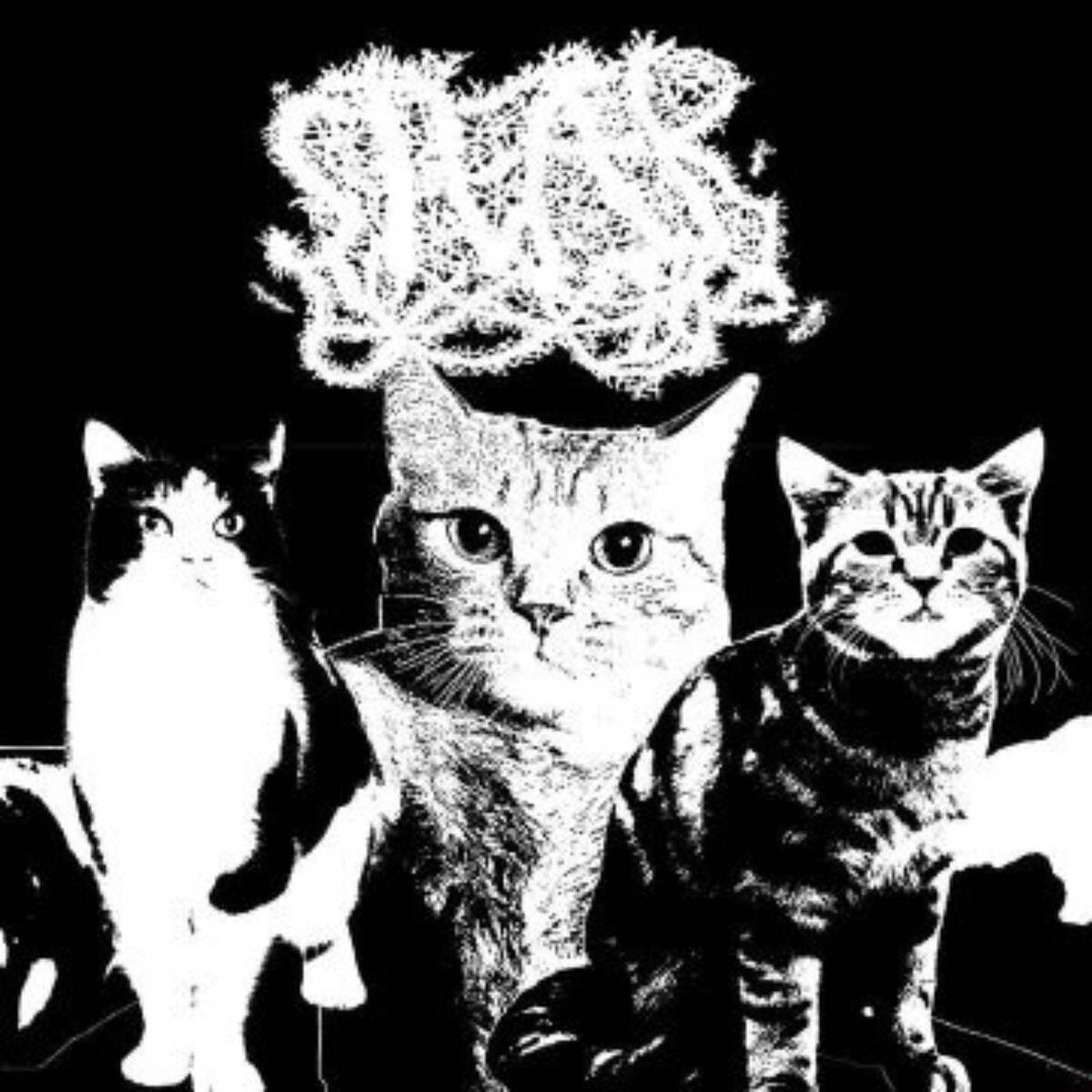 Esoteric Mincecore singles of the 2020s - Rate Your Music