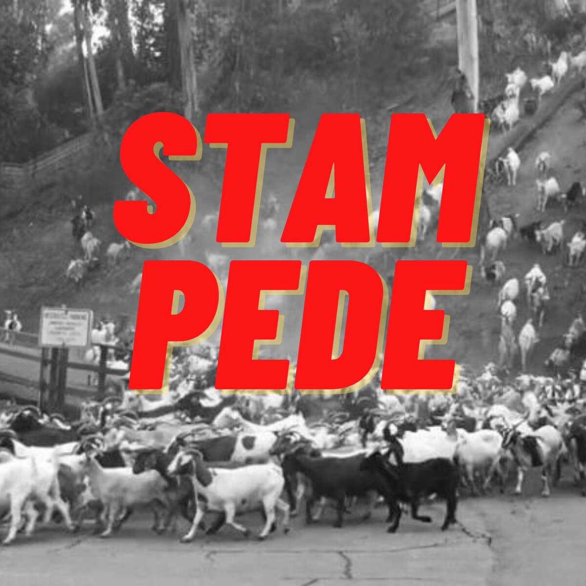 Stampede by Callon B (Single): Reviews, Ratings, Credits, Song list ...