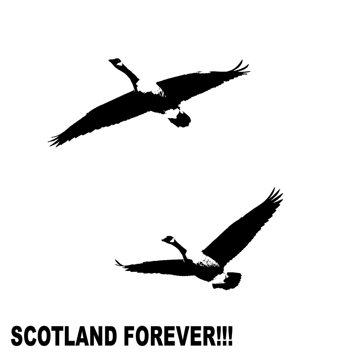 Scotland Forever by LIL THROMBOSIS* (Single, Drum and Bass): Reviews ...