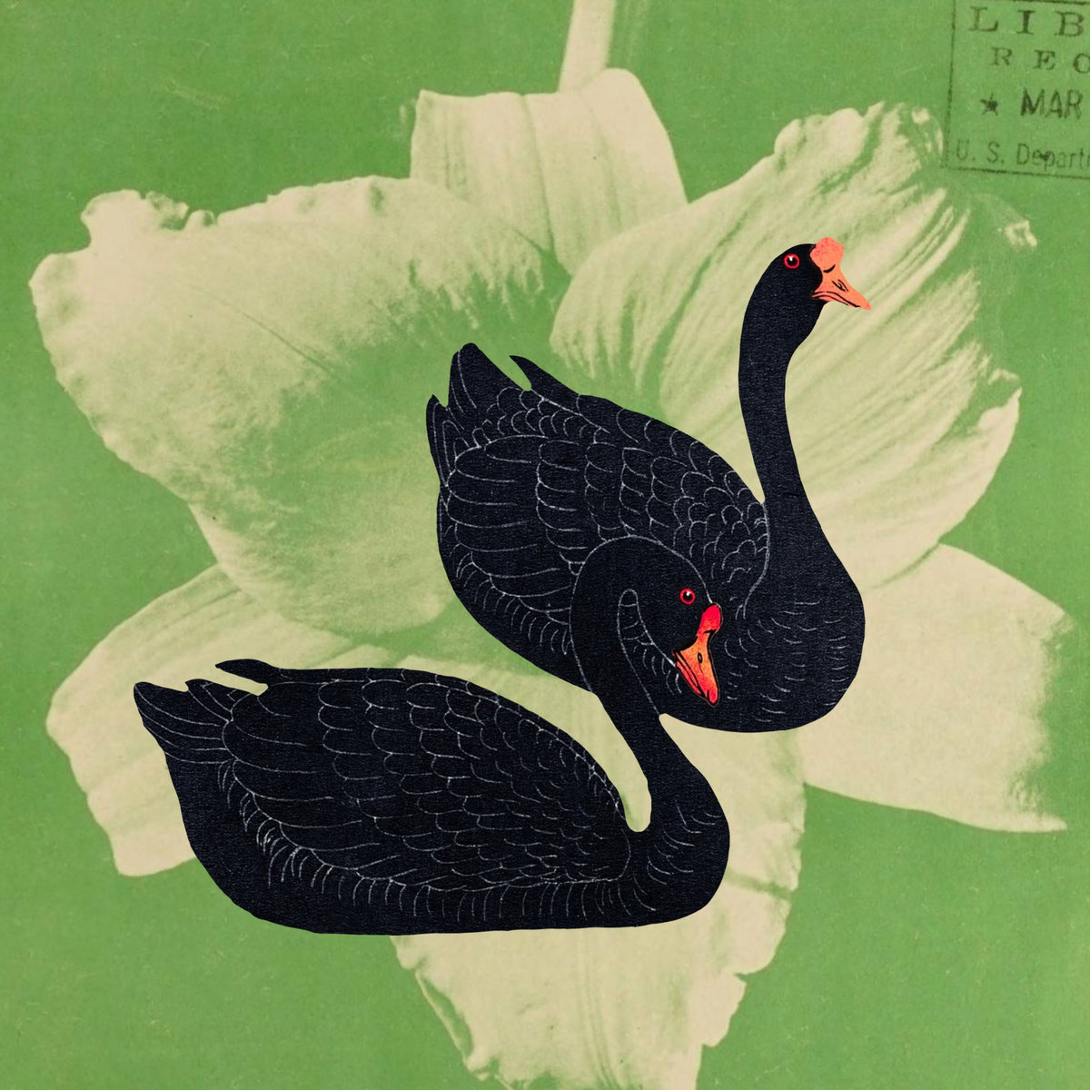 Swan Dive by Andrew & Jesse the Tree (Album): Reviews, Ratings, Credits, Song list - Rate Your Music