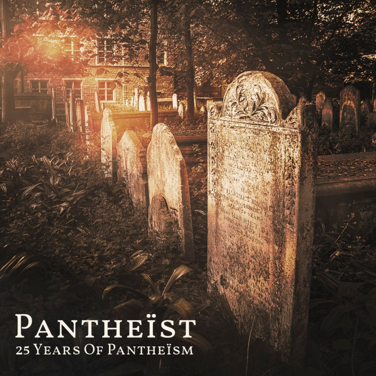 25 Years of Pantheïsm by Pantheist (Compilation): Reviews, Ratings ...