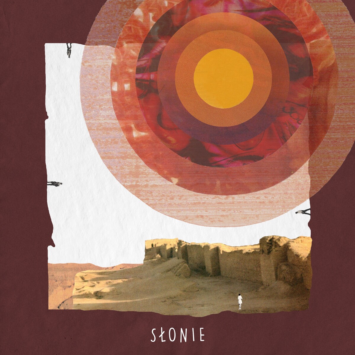 Słonie by Shama (Single): Reviews, Ratings, Credits, Song list - Rate ...