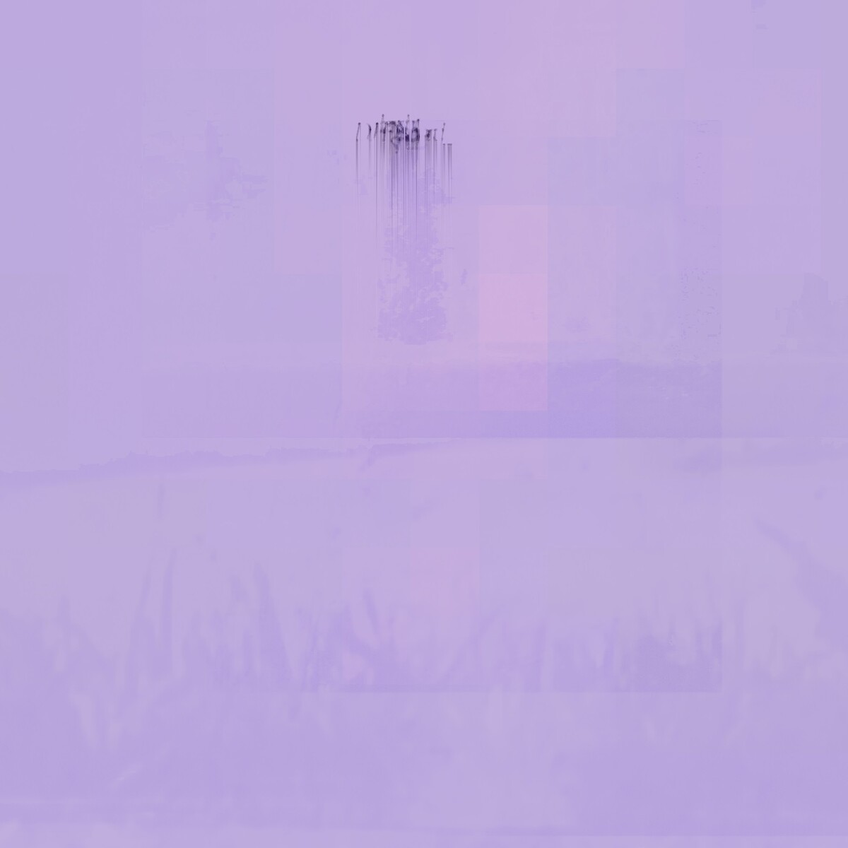 Best DJ Discord_ songs of all time - Rate Your Music