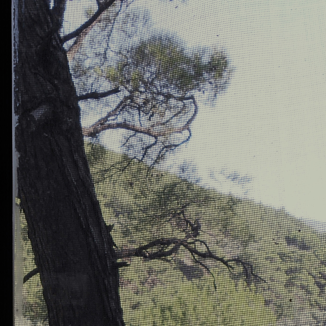 Reds by Ekin Fil (EP, Ambient): Reviews, Ratings, Credits, Song list ...