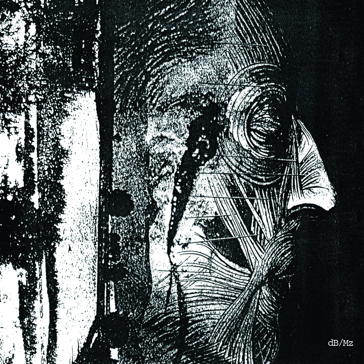 Iconoclast Hymns by dB/Mz (Album): Reviews, Ratings, Credits, Song list ...