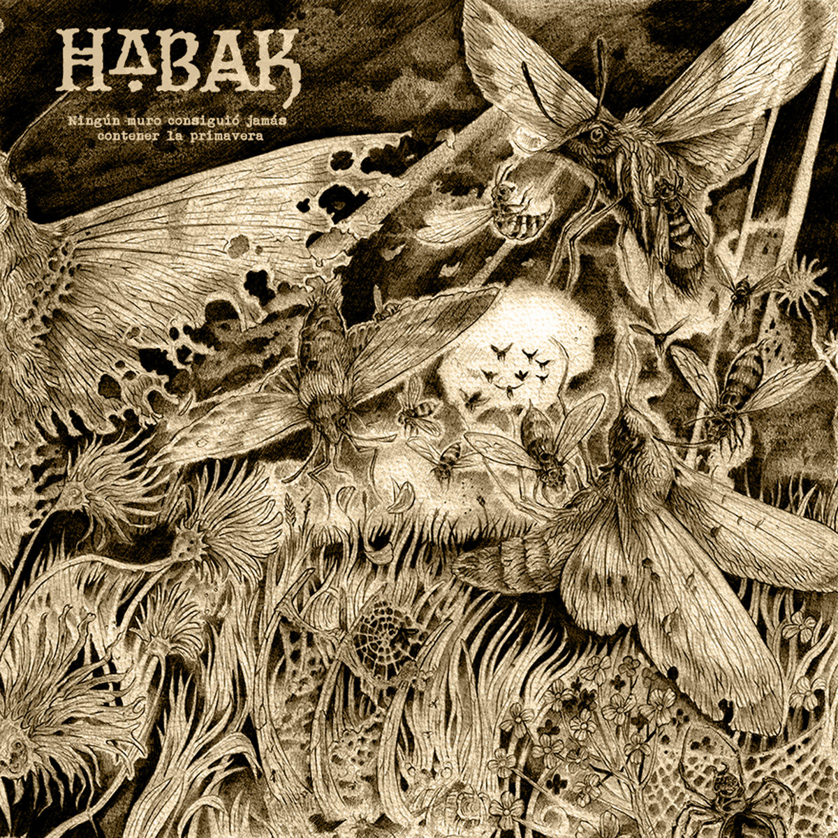 Habak Albums: songs, discography, biography, and listening guide - Rate ...