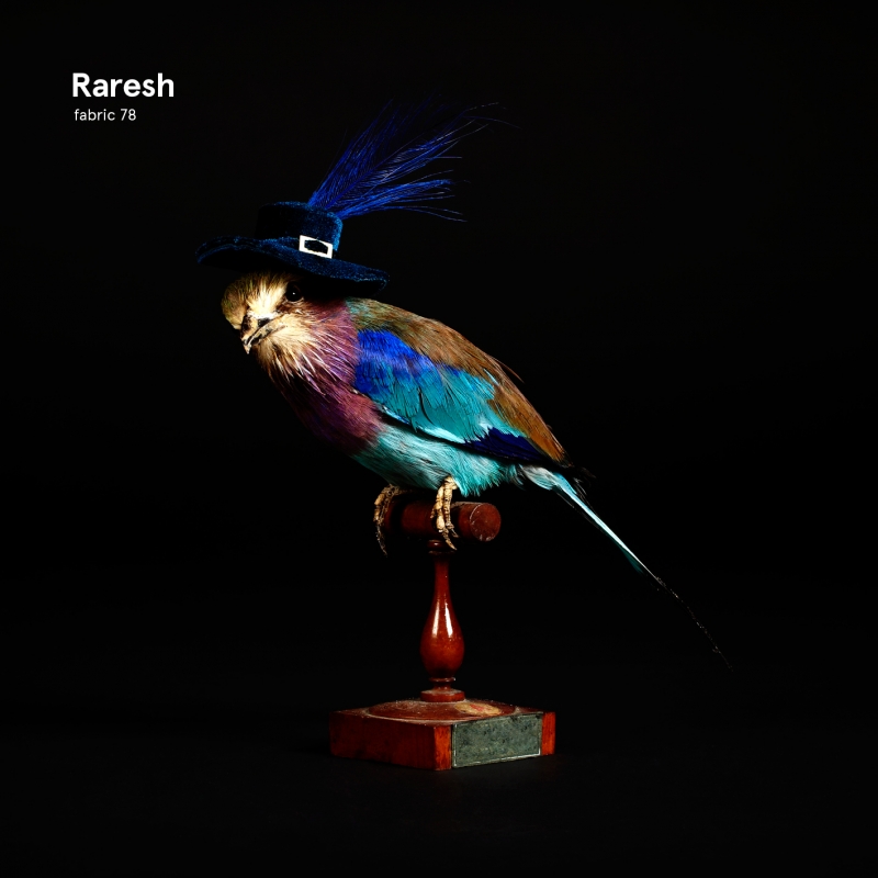 Raresh Albums: songs, discography, biography, and listening guide ...
