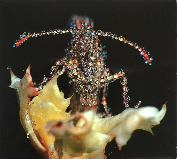 Eye Contact by Gang Gang Dance (Album, Neo-Psychedelia): Reviews ...