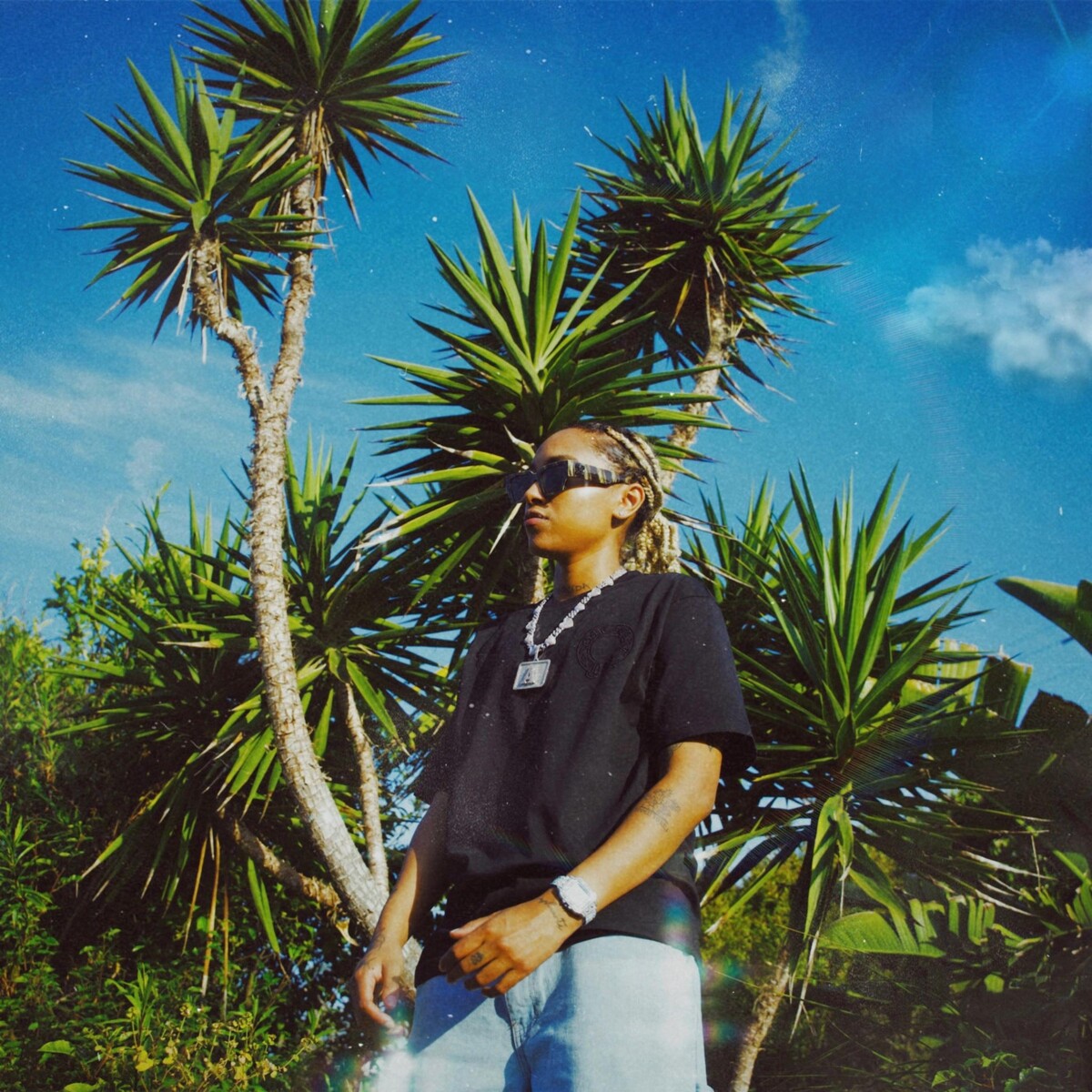 On the Loose by Alex Irish (Single): Reviews, Ratings, Credits, Song ...