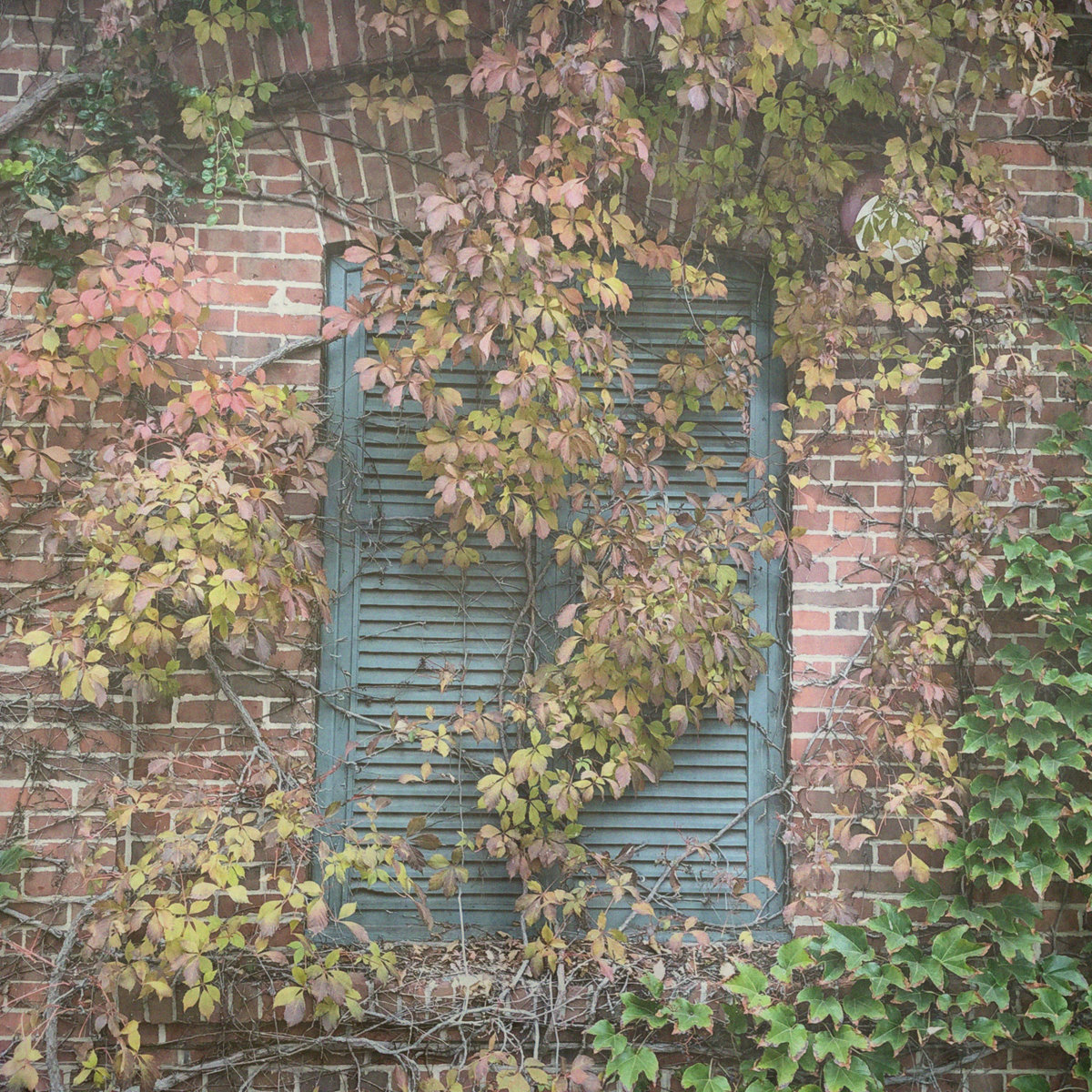 A Song for Healing by Rest You Sleeping Giant (Album, Ambient): Reviews, Ratings, Credits, Song ...