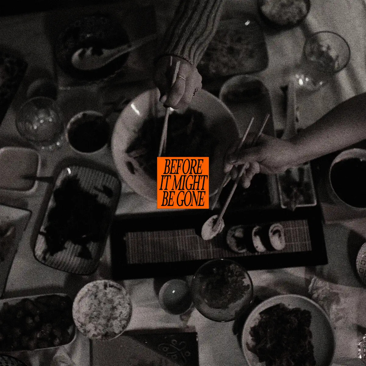 Before It Might Be Gone by The Vices (Album; +1): Reviews, Ratings ...