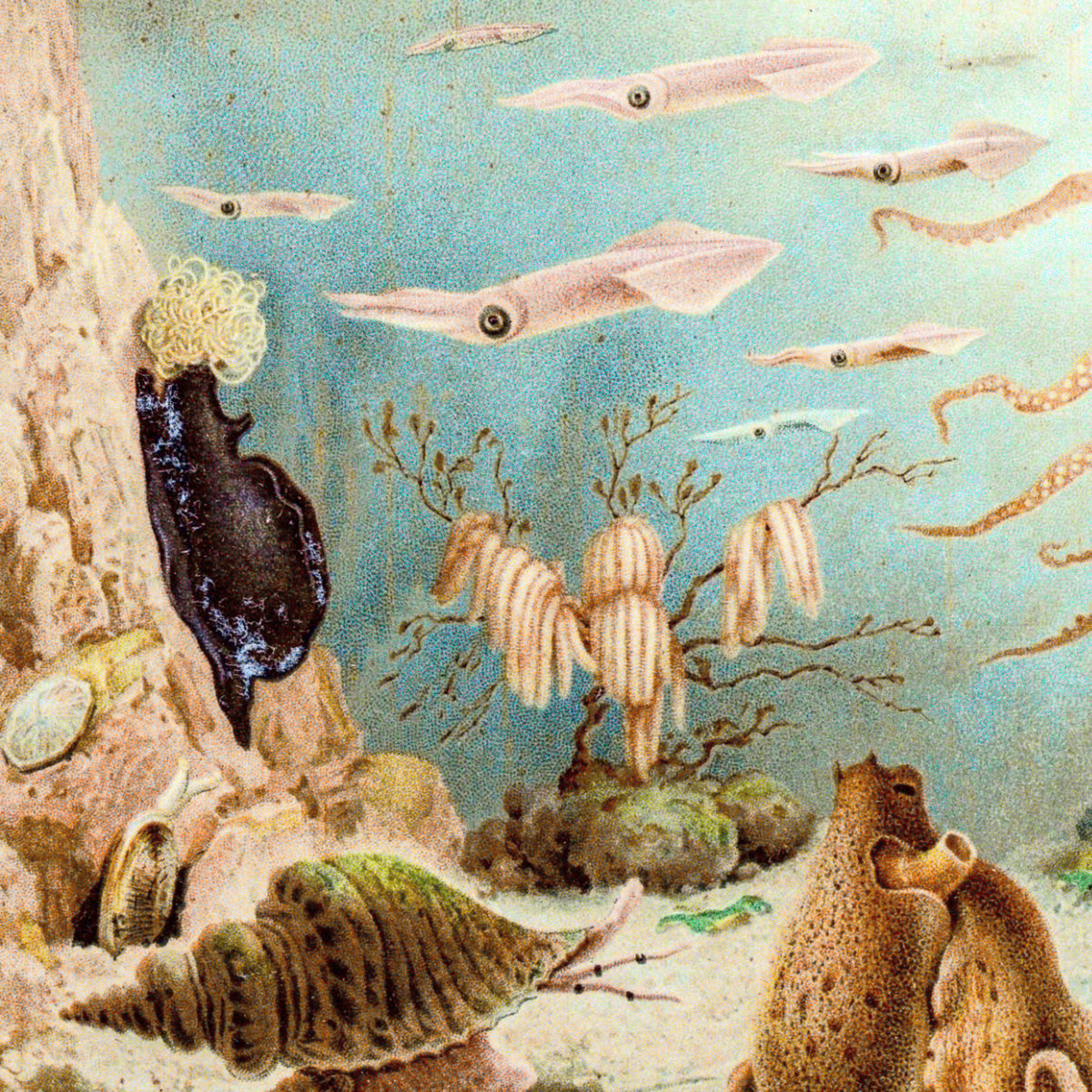 Episodes in Oceanography by Chypho (Album, Ambient): Reviews, Ratings ...