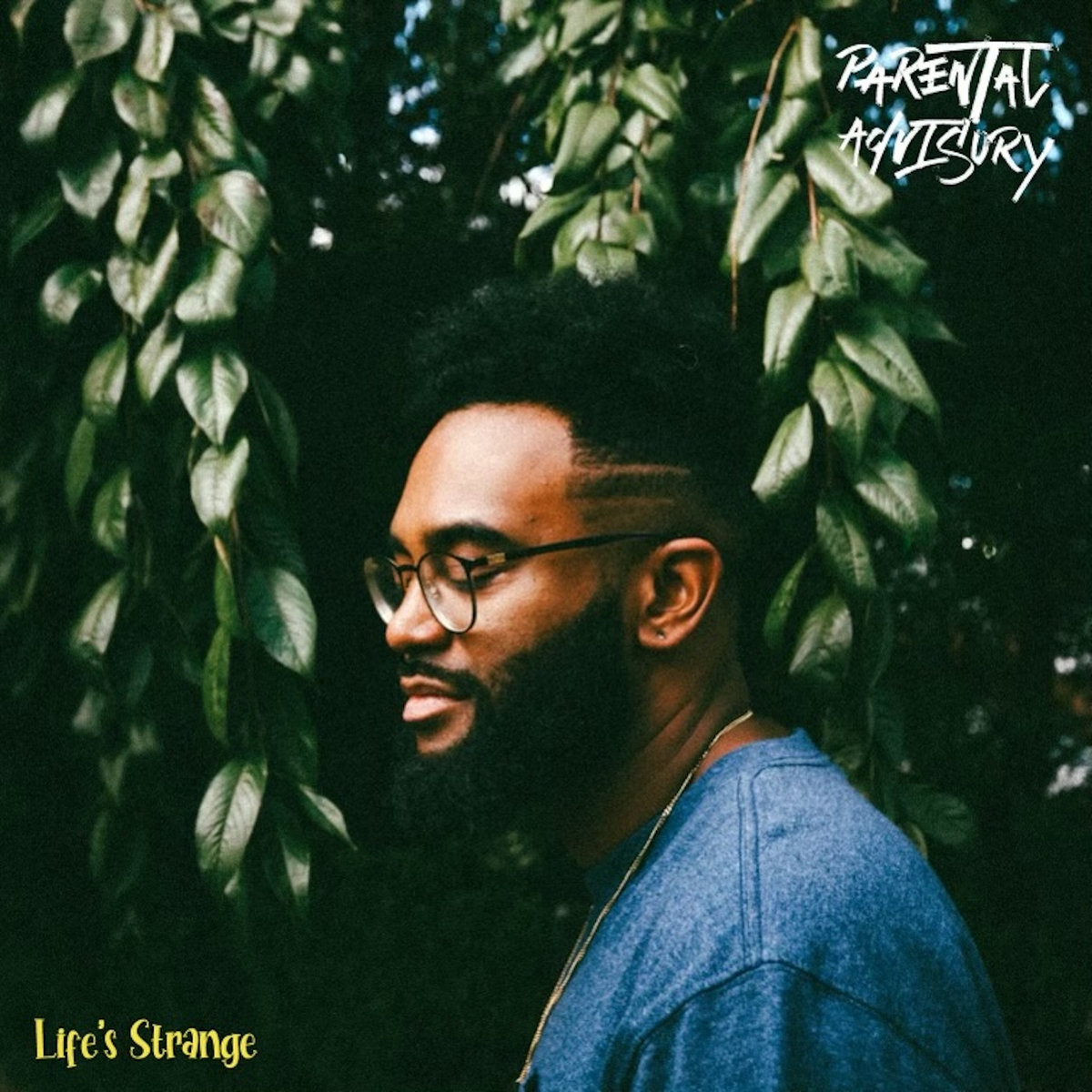Life's Strange by Drew Prince (Album): Reviews, Ratings, Credits, Song ...