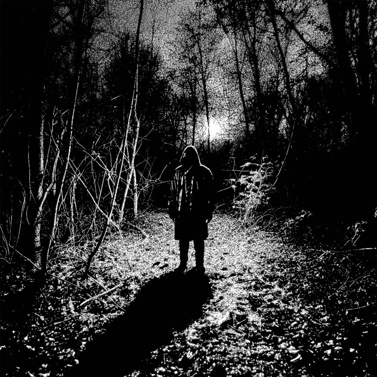 Impressive I'm Still Here by Saliva Grey (Single): Reviews, Ratings ...