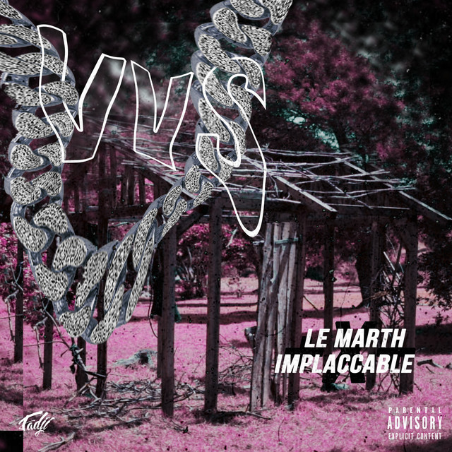 Vvs by Implaccable (Single): Reviews, Ratings, Credits, Song list ...