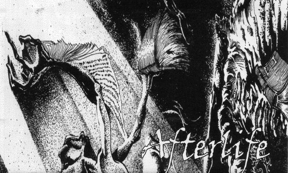 Afterlife Albums: songs, discography, biography, and listening guide ...