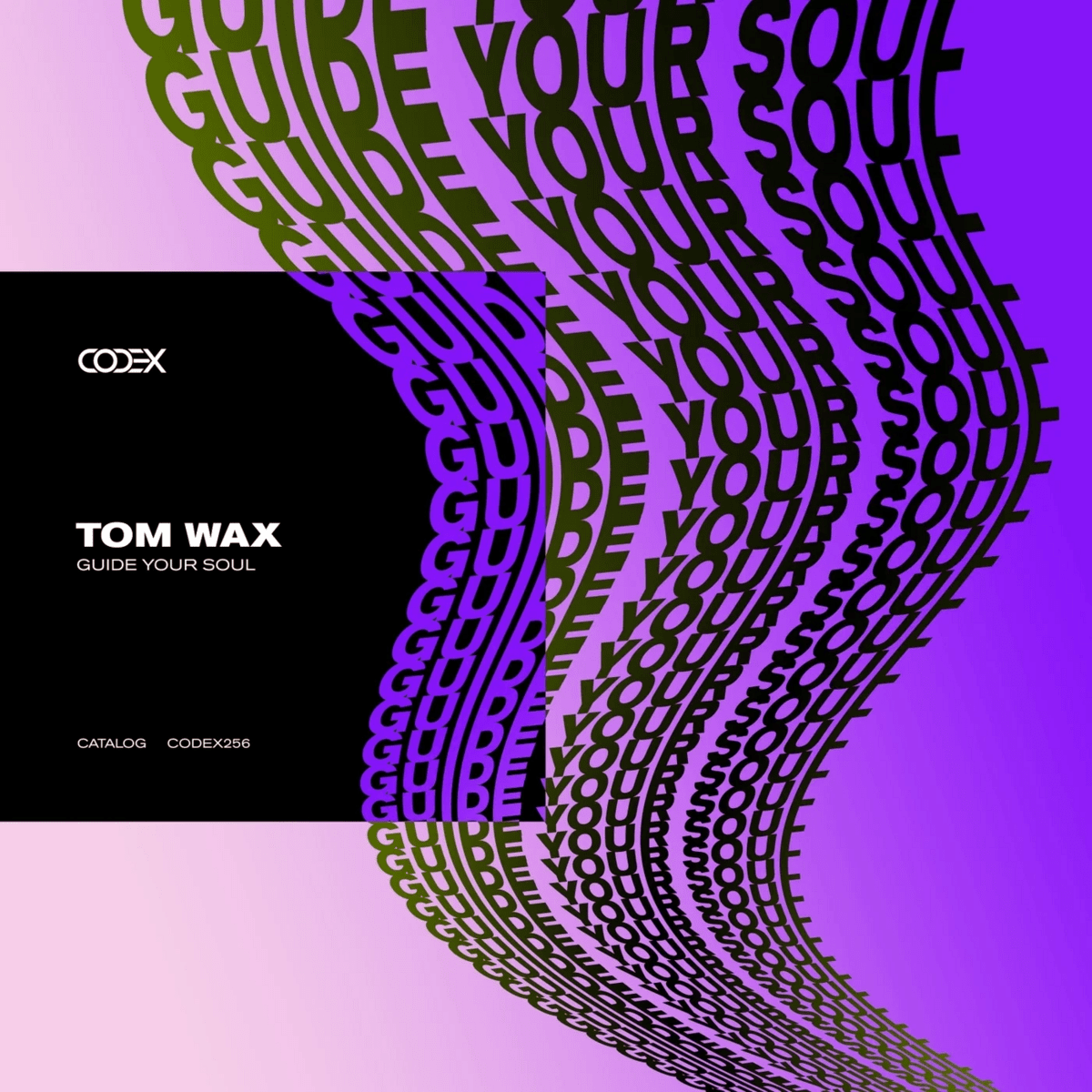 Guide Your Soul by Tom Wax (Single): Reviews, Ratings, Credits, Song ...