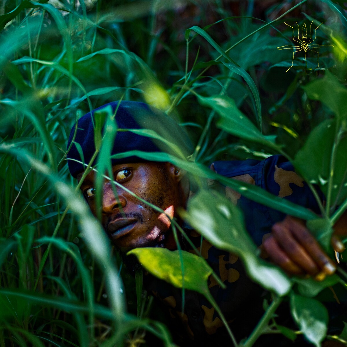 Ecko Bazz Albums: songs, discography, biography, and listening guide ...