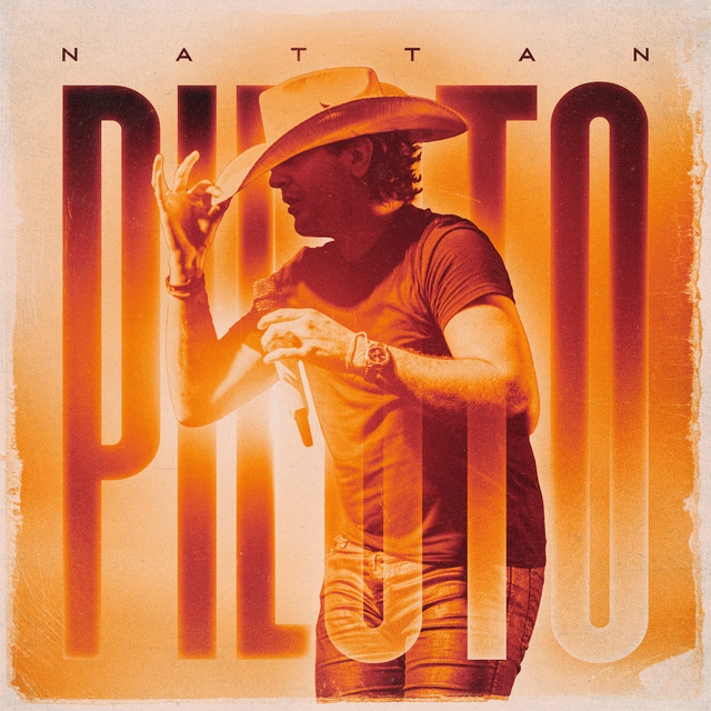 Piloto by Nattan (Single, Piseiro): Reviews, Ratings, Credits, Song ...