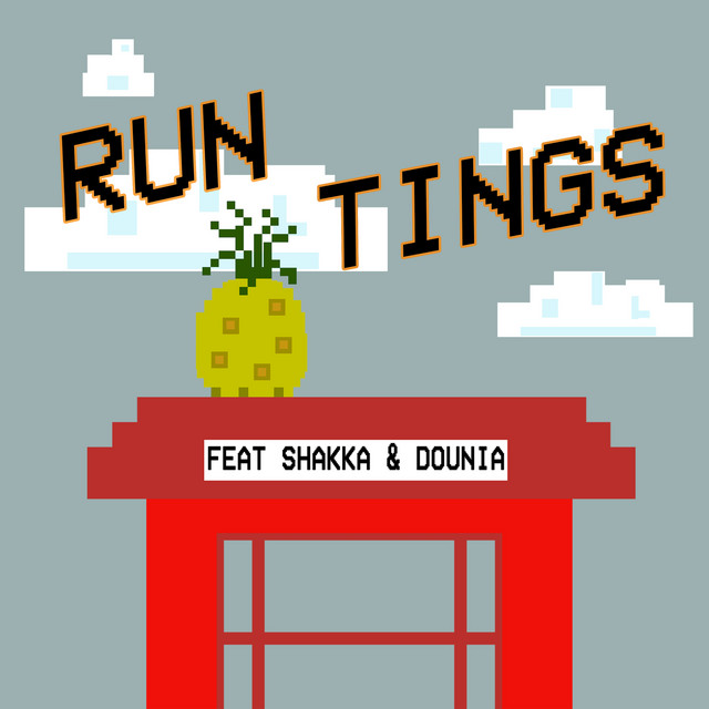 Run Tings by ROMderful & Shakka (Single): Reviews, Ratings, Credits ...