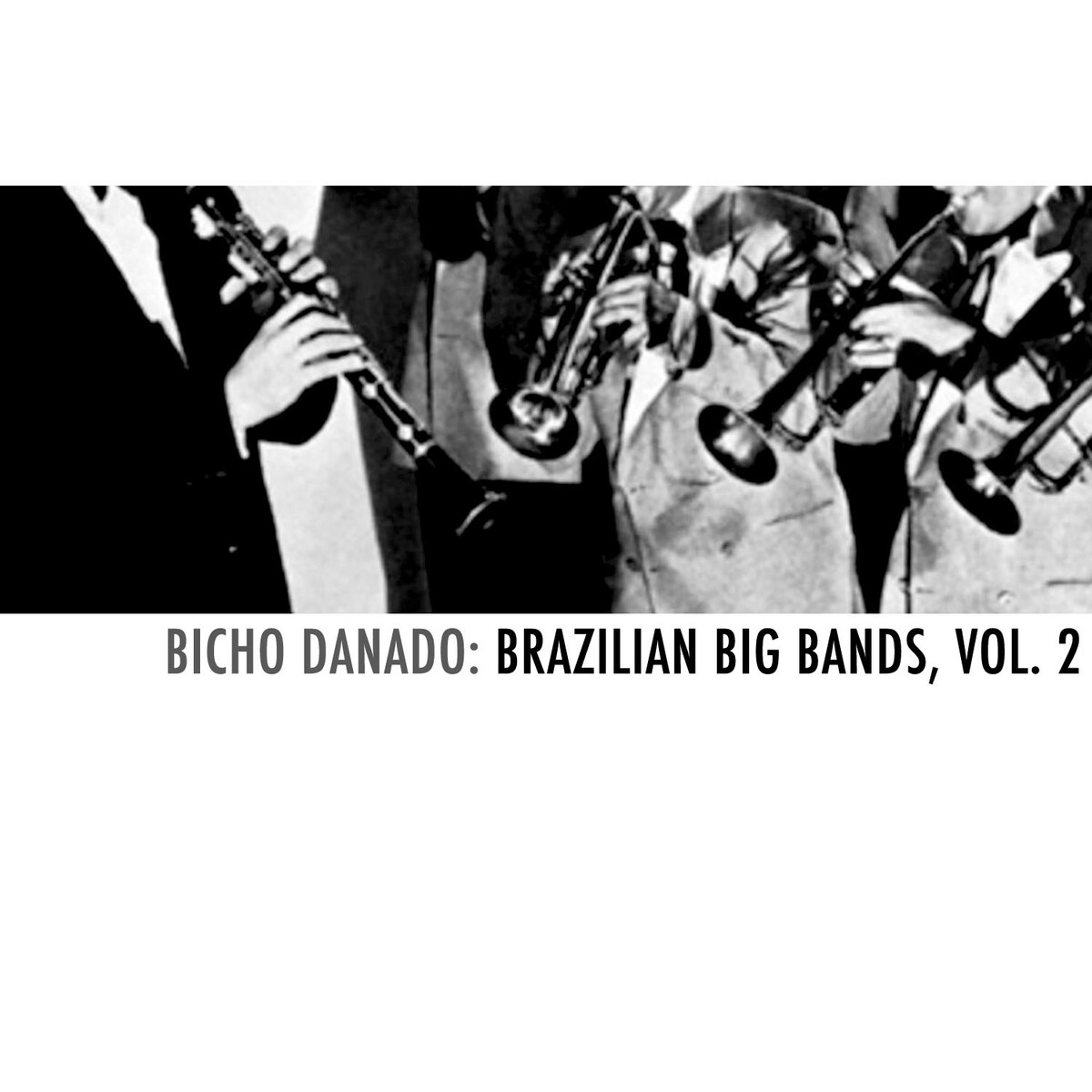 Bicho Danado: Brazilian Big Bands, Vol. 2 by Various Artists (Album ...