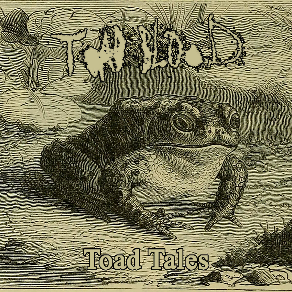 Toad Tales by Toad Blood (Album, Comfy Synth): Reviews, Ratings ...