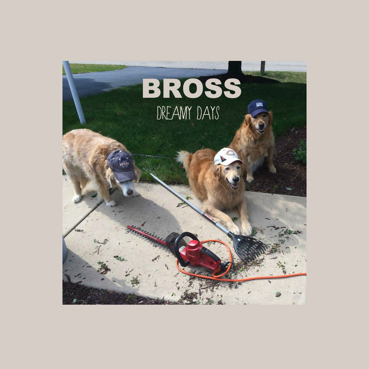 BROSS Albums: songs, discography, biography, and listening guide - Rate ...