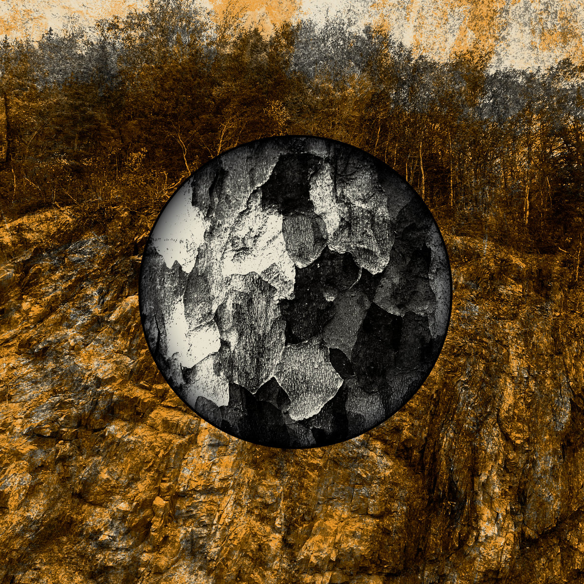Corporeal by Ritual Purification (Album): Reviews, Ratings, Credits ...