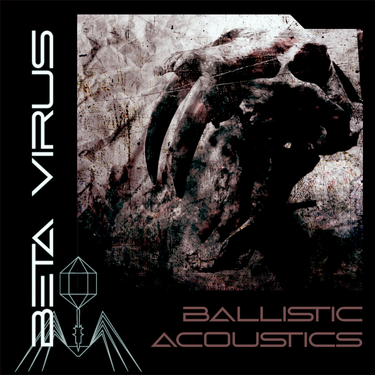 Ballistic Acoustics by Beta Virus (Album): Reviews, Ratings, Credits ...