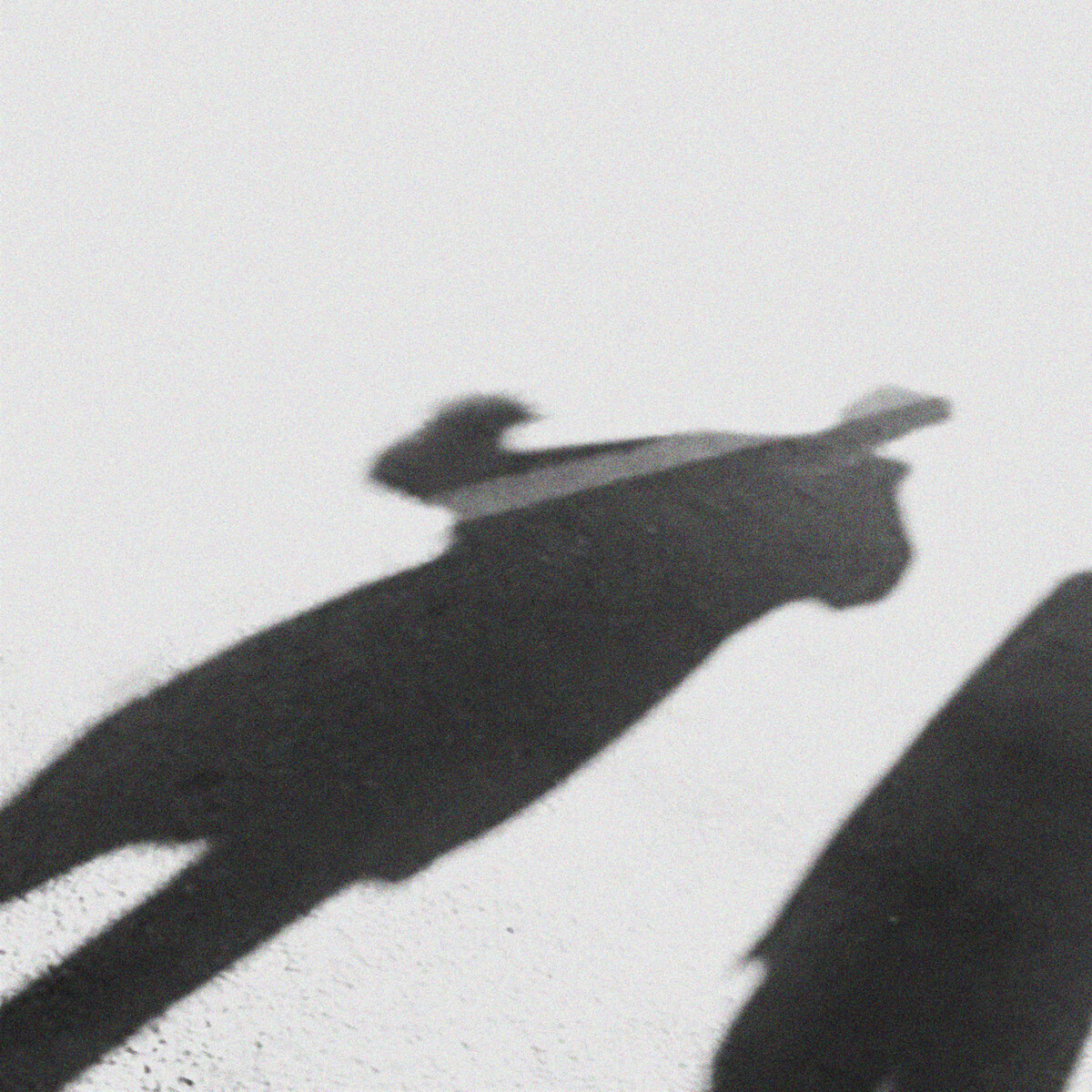 Shadow by Sean Nicholas Savage (Single, Adult Contemporary): Reviews ...