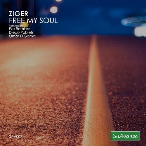 Free My Soul by Ziger (Single): Reviews, Ratings, Credits, Song list ...