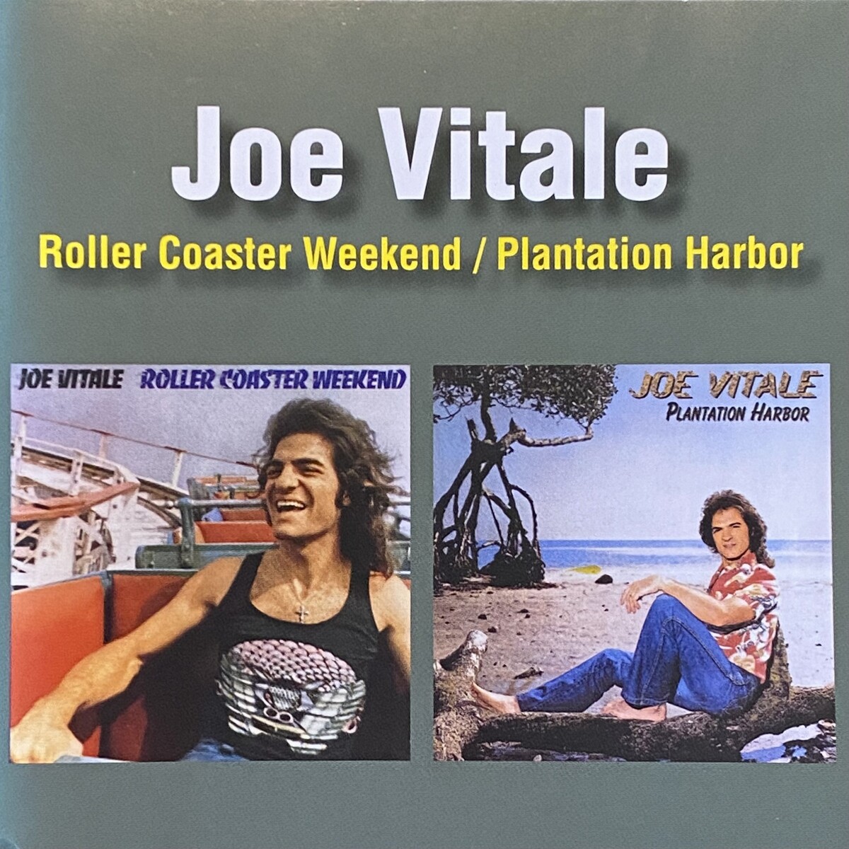 Roller Coaster Weekend / Plantation Harbor by Joe Vitale (Compilation ...
