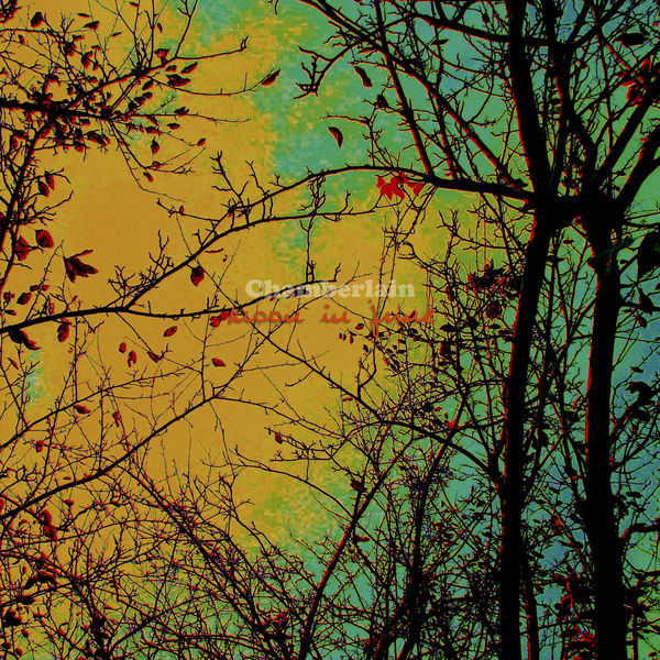 Chamberlain Albums: songs, discography, biography, and listening guide ...