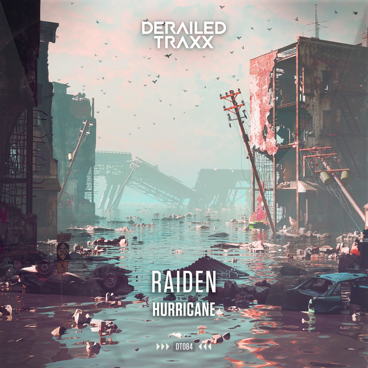 Hurricane by Raiden (Single): Reviews, Ratings, Credits, Song list ...