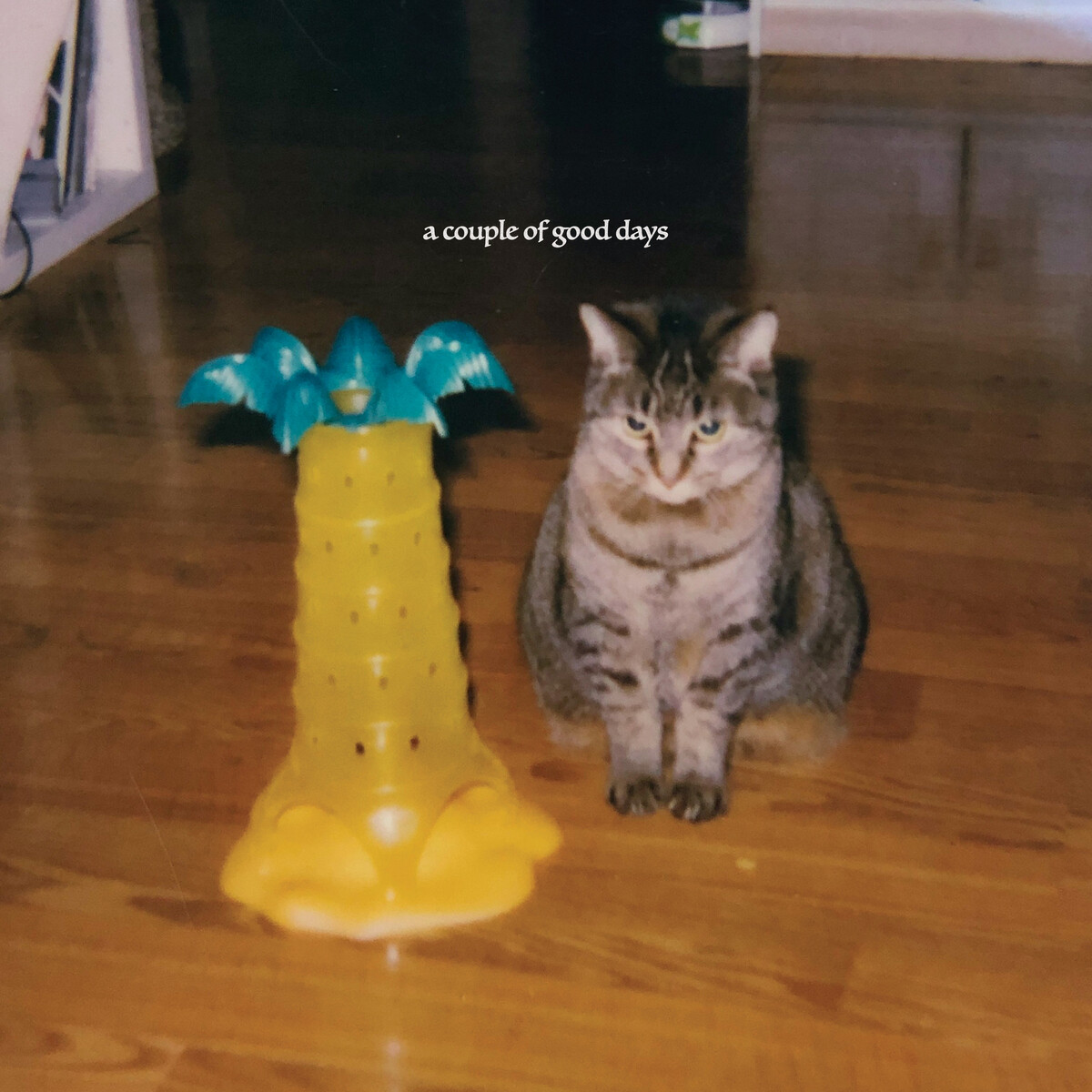 Fennec Albums: songs, discography, biography, and listening guide ...