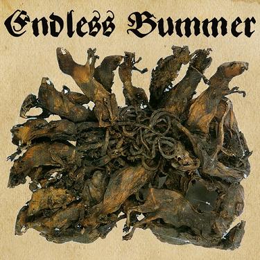 Fritzl by Endless Bummer (Album): Reviews, Ratings, Credits, Song list ...