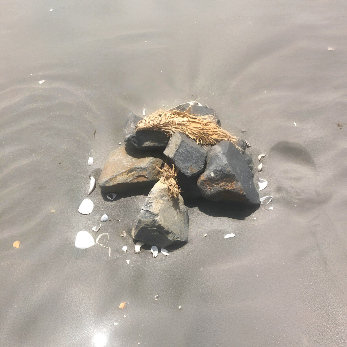 Best Art Pop mixtapes of 2025 - Rate Your Music