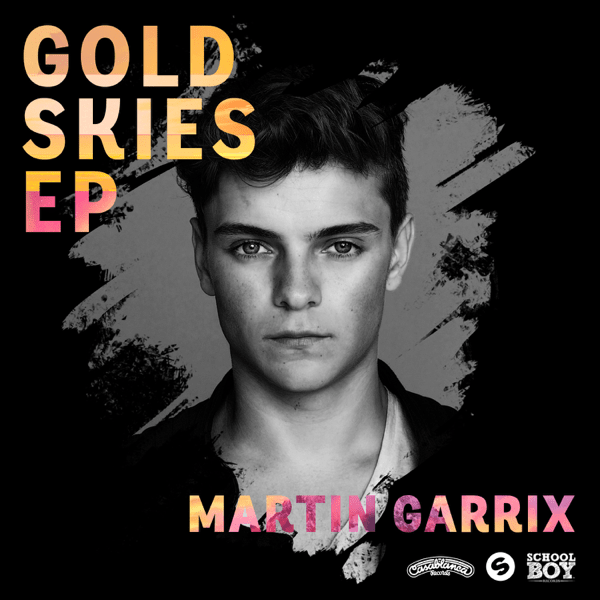 Martin Garrix Albums: songs, discography, biography, and listening ...