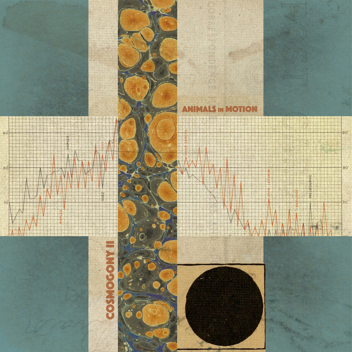 animals in motion Albums: songs, discography, biography, and listening ...