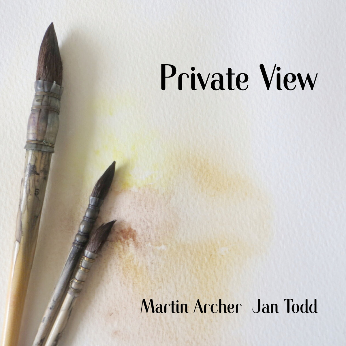 Private View by Martin Archer & Jan Todd (Album): Reviews, Ratings ...