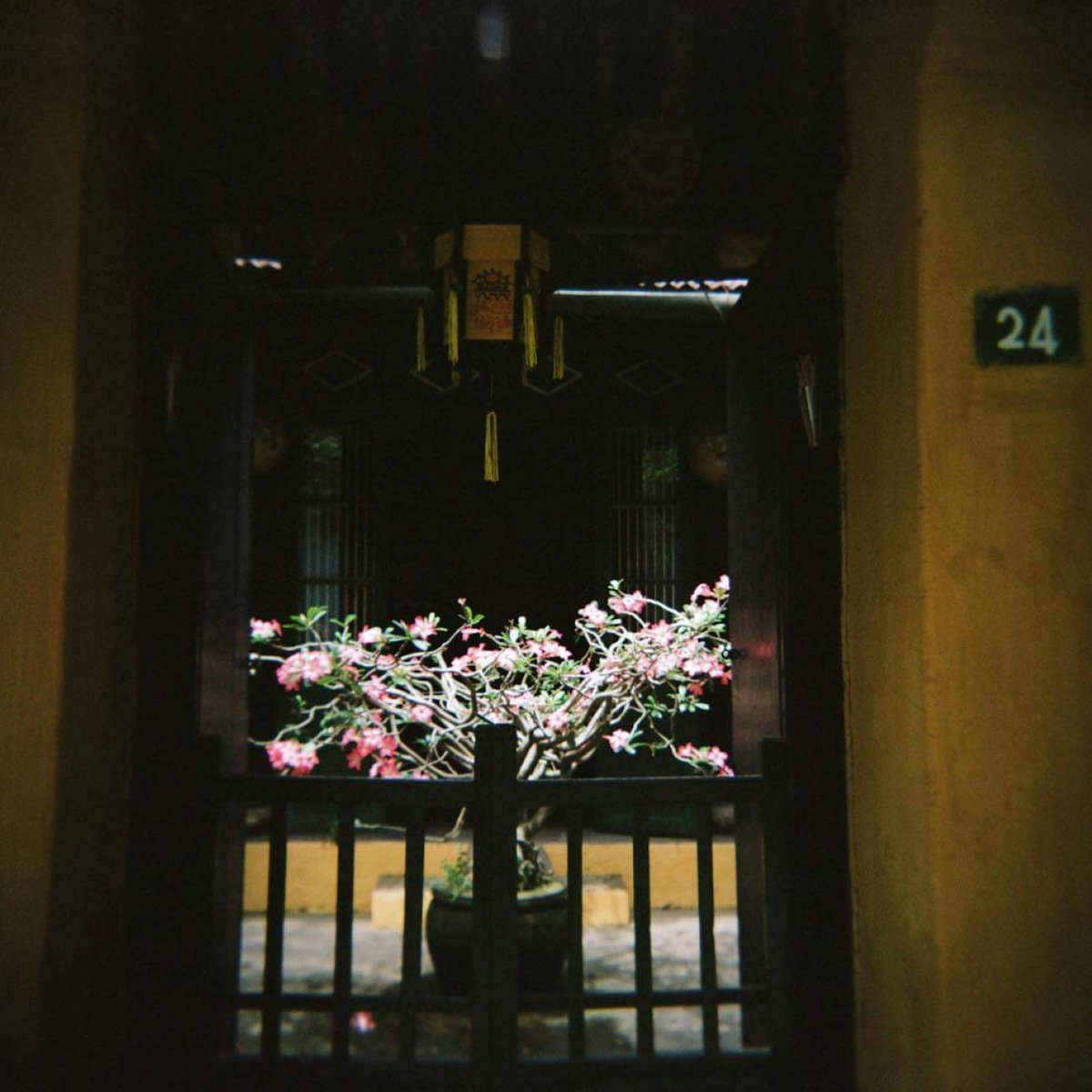 Peter Spiker Albums: songs, discography, biography, and listening guide ...