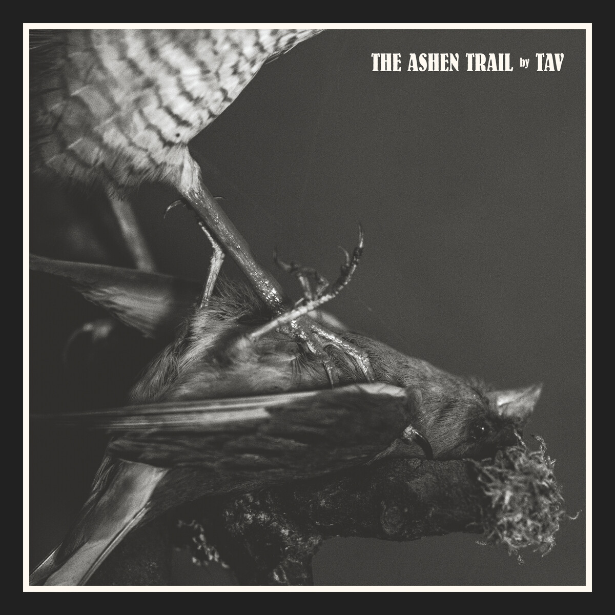 The Ashen Trail by Tav (Album, Post-Rock): Reviews, Ratings, Credits ...