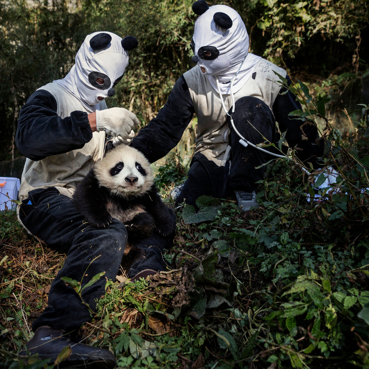 Esoteric Industrial Rock albums of 2025 - Rate Your Music