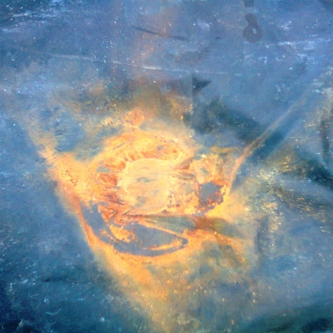 The Long Rain by Slow Listener (Album): Reviews, Ratings, Credits, Song ...