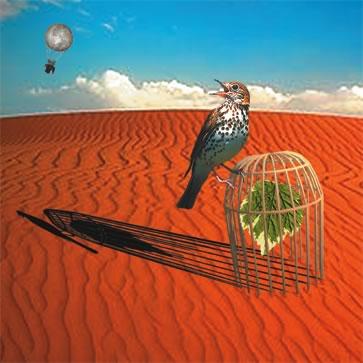 Patrick Briscoe Albums: songs, discography, biography, and listening ...