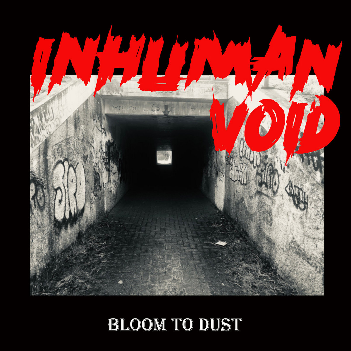Bloom to Dust - Demo 2021 by Inhuman Void (Additional release): Reviews, Ratings, Credits, Song ...