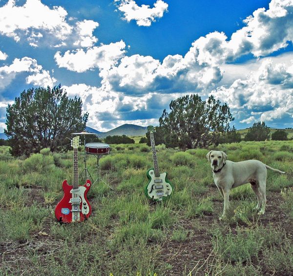 Tricia Yates Fanclub Albums: songs, discography, biography, and ...