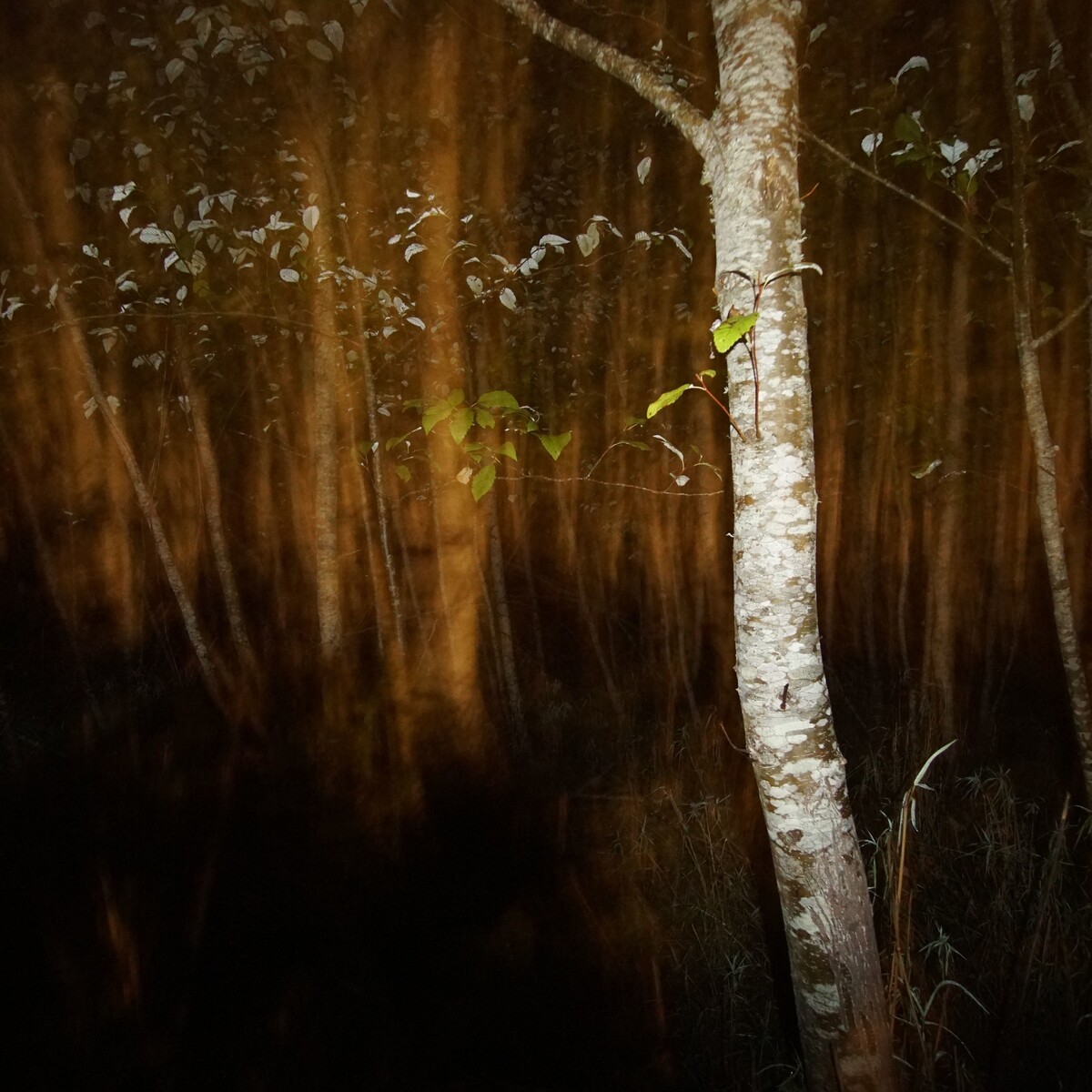 ㅤㅤㅤㅤ ㅤㅤ by Braydo (Single): Reviews, Ratings, Credits, Song list - Rate ...