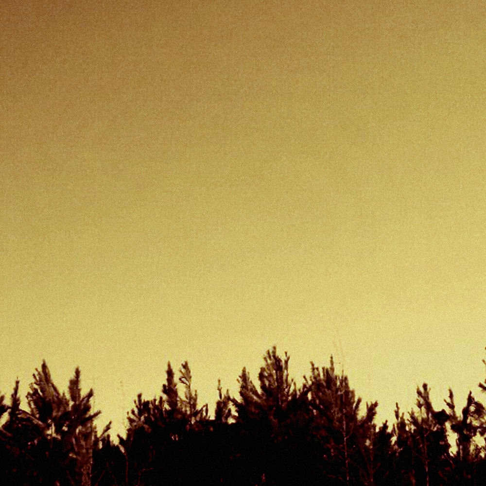 15 / 24 ( Warmsoil ) by Coppice Halifax (Album): Reviews, Ratings ...