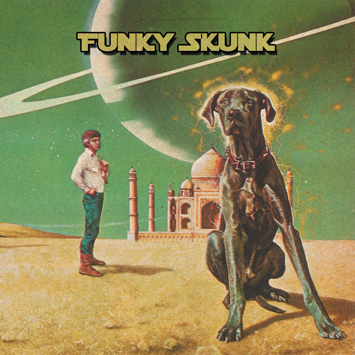 Funky Skunk by Funky Skunk (Album): Reviews, Ratings, Credits, Song ...